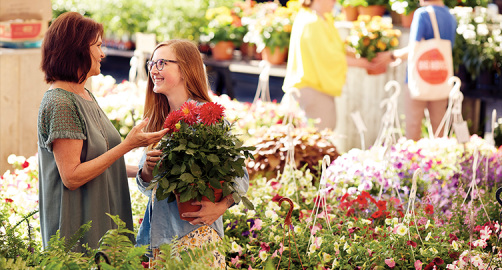 Hartville MarketPlace and Flea Market | Hartville, OH - visitorfun.com